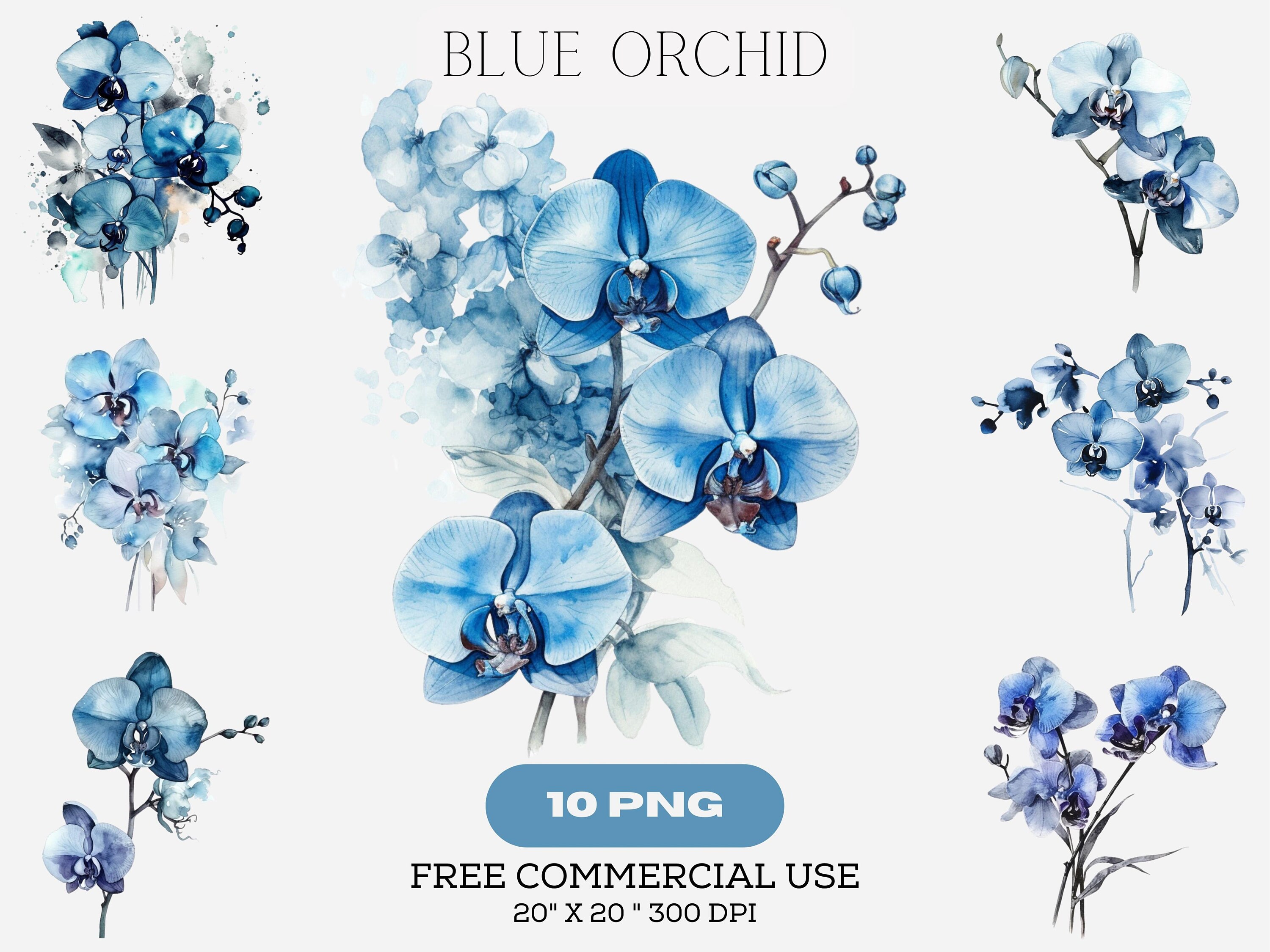 Blue Orchid Plant Png