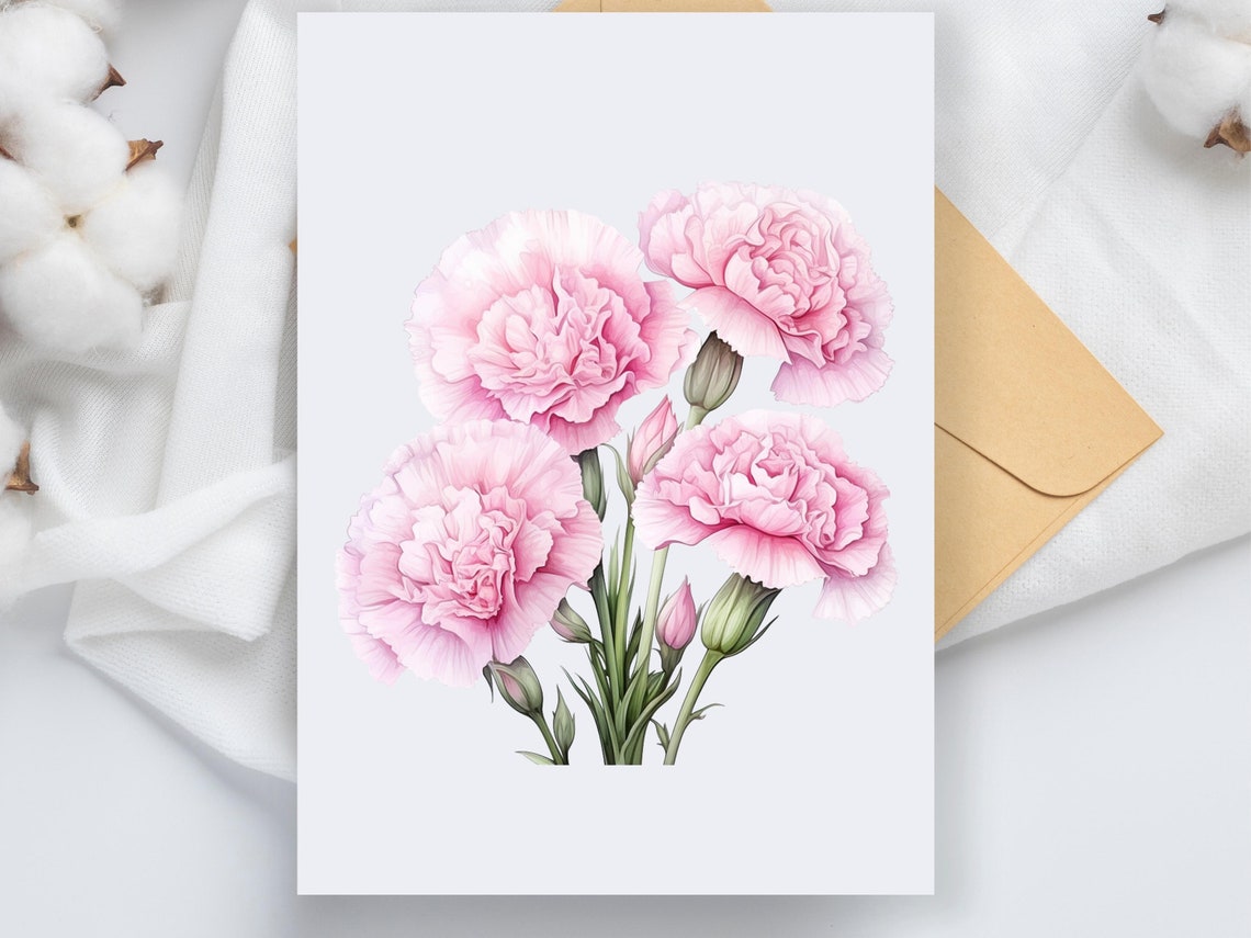 Watercolor Pink Carnation Clipart Floral Graphics in PNG - Etsy