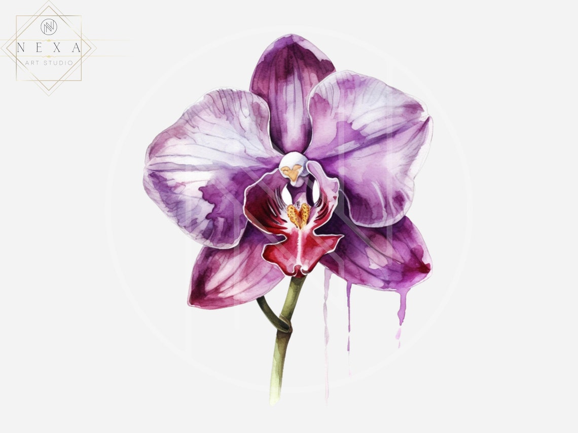 Purple Orchid Clipart 10 High Quality Pngs Digital Download - Etsy