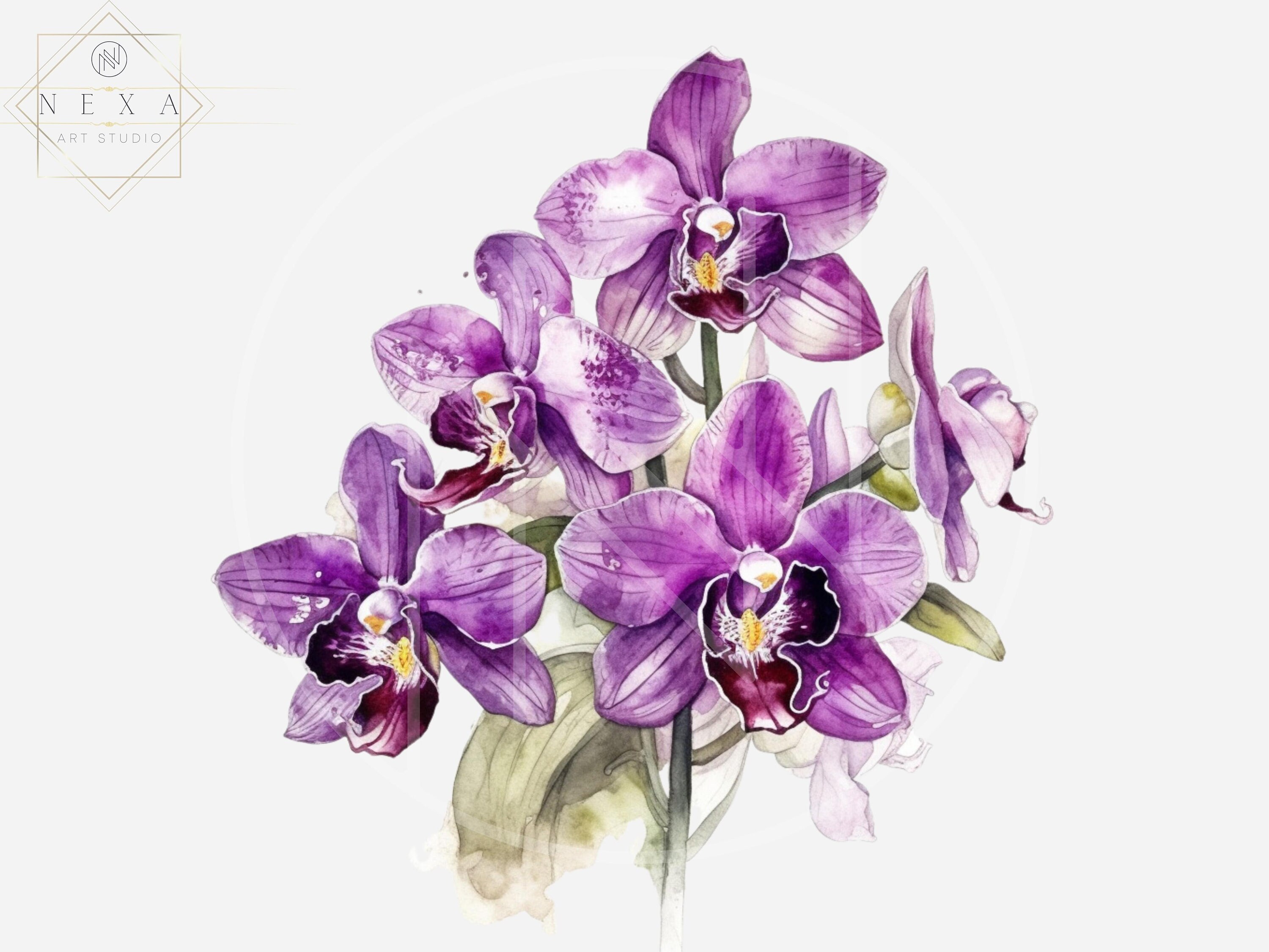 Purple Orchid Clipart 10 High Quality Pngs Digital Download - Etsy
