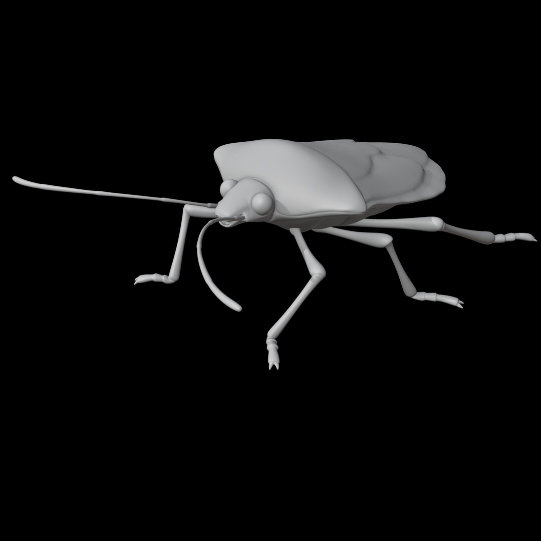 Stink Bug Insect Figurine Stl File - Etsy