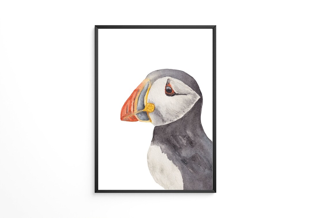 Puffin Nature Poster Puffin Poster Watercolor Art Print - Etsy