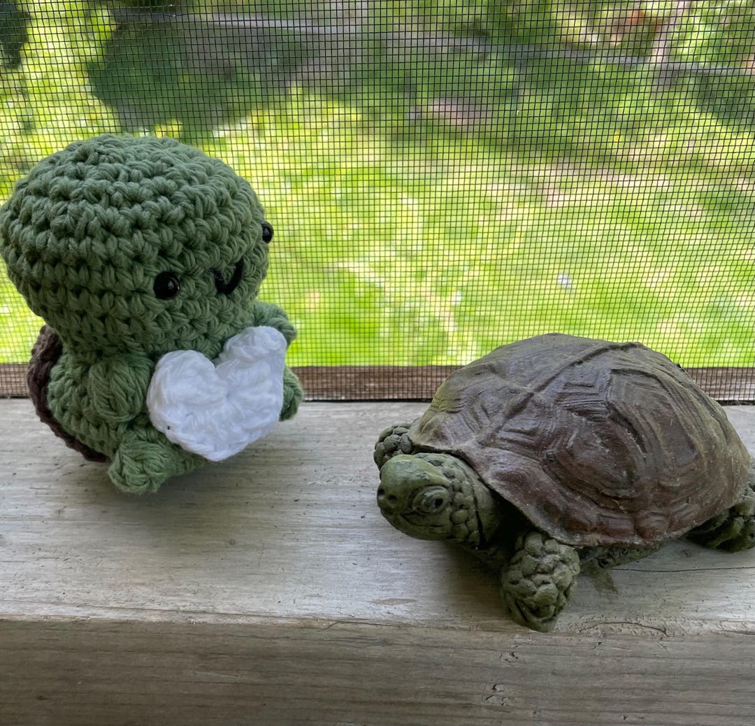 Emotional Support Turtle, Tortoise, Crochet, Handmade by Me, Amigurumi ...