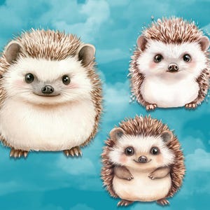 Cute Hedgehog Clip Art Watercolor Hedgehog Digital Paper Hedgehog ...