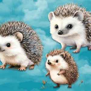 Cute Hedgehog Clip Art Watercolor Hedgehog Digital Paper Hedgehog ...