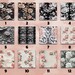Floral Pink Digital Paper Pack Rose Seamless Pattern White Flower ...