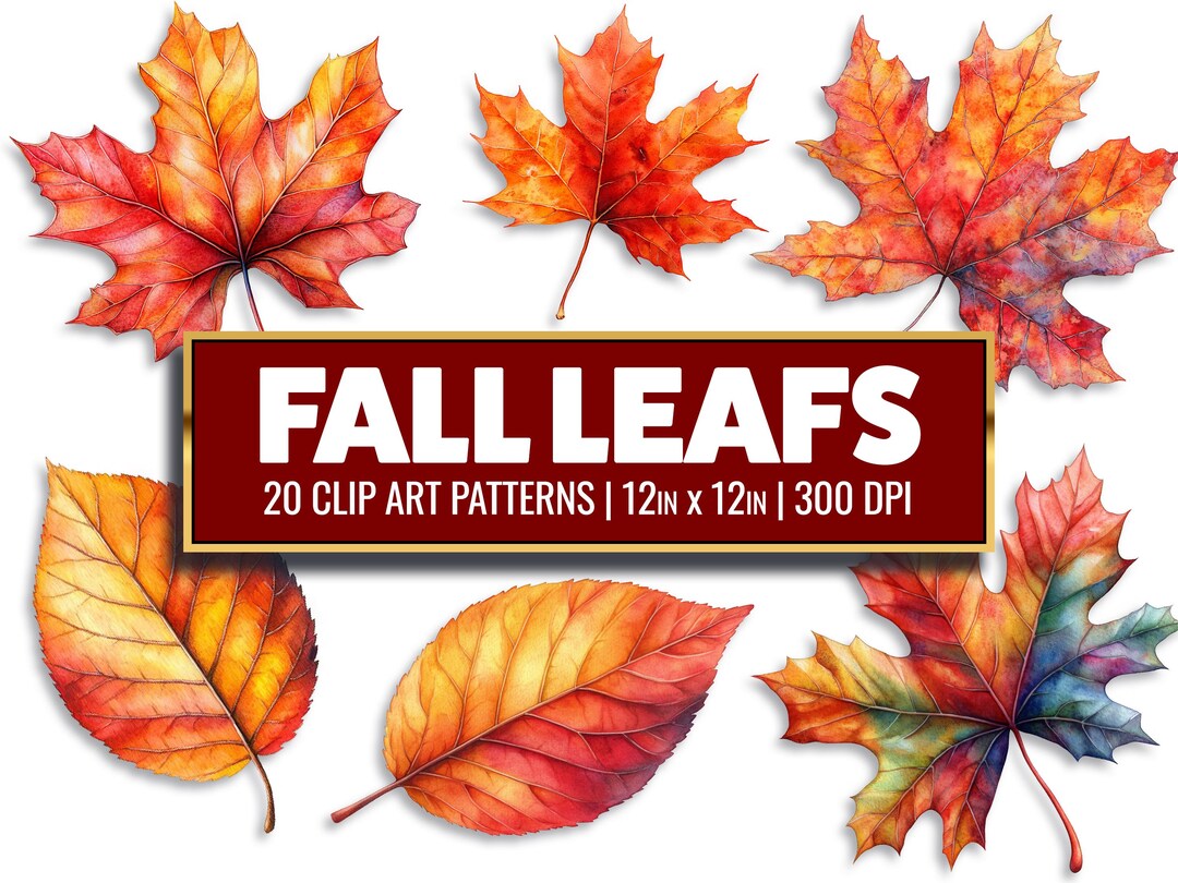 Fall Leaf Clipart Autumn Leaves Watercolor Digital Papercraft Woodland ...