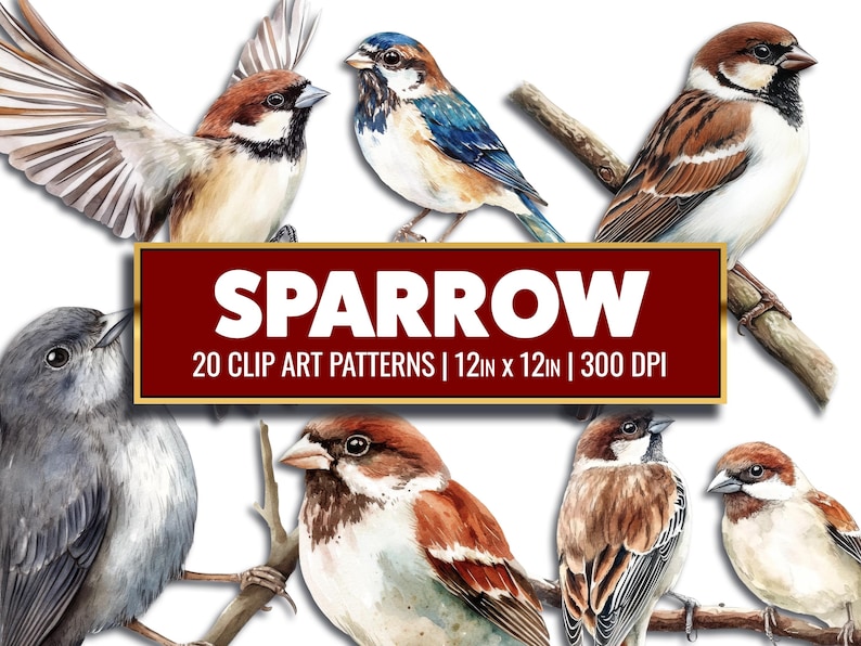 Sparrow Clip Art Watercolor Bird Printable PNG Paper Craft Sparrow Bird ...