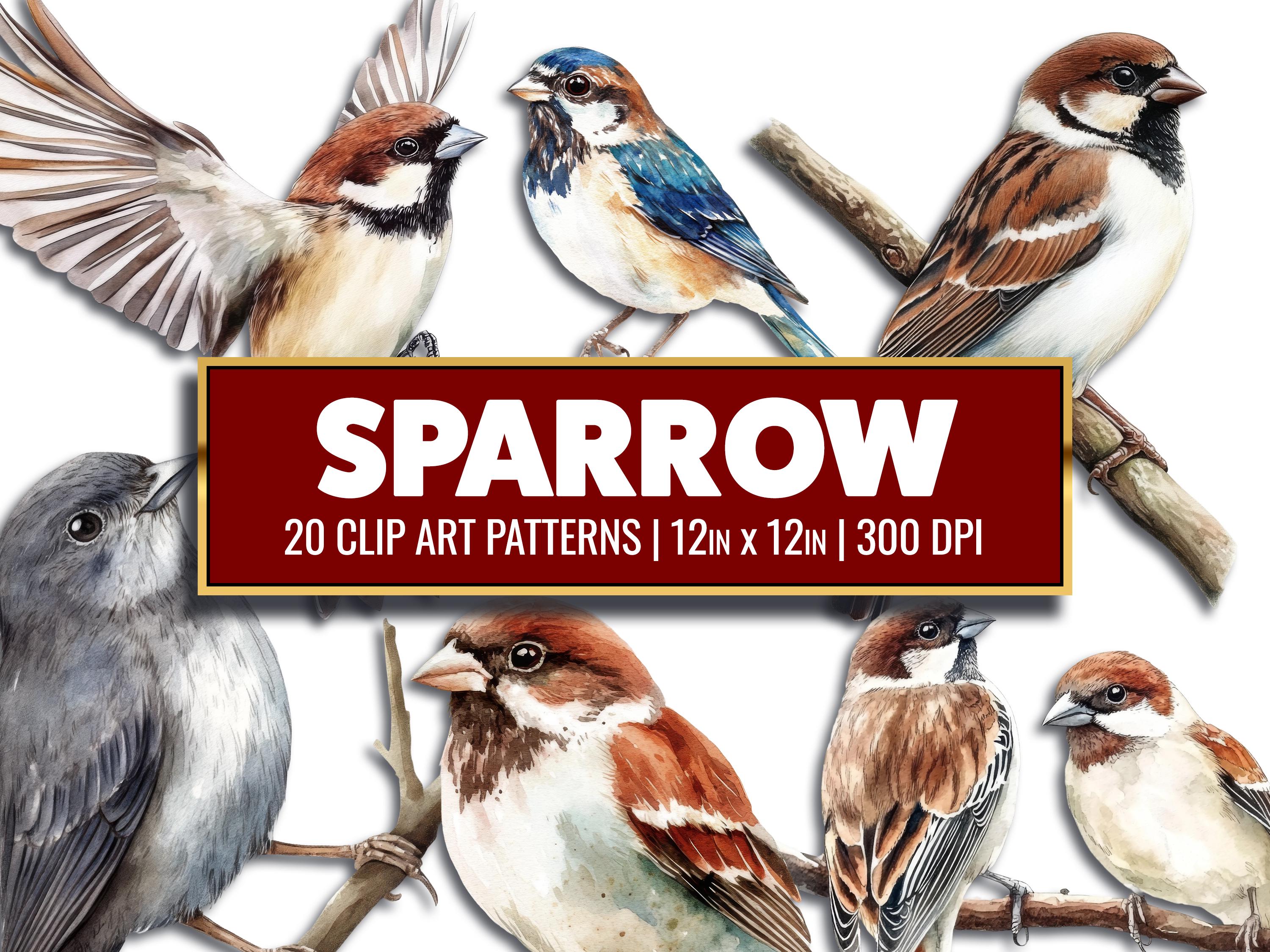 Sparrow Clip Art Watercolor Bird Printable PNG Paper Craft Sparrow Bird ...