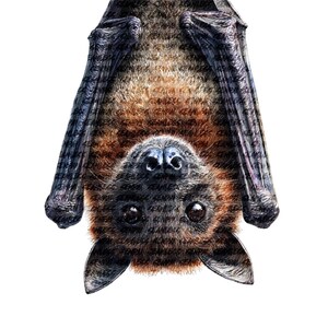 Vampire Bat Clipart Dracula Animal Form Watercolor Paper Craft PNG ...