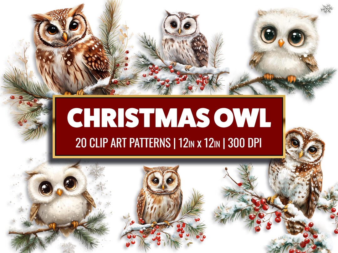 Christmas Owl Clip Art: Watercolor Digital Paper (PNG) - Etsy