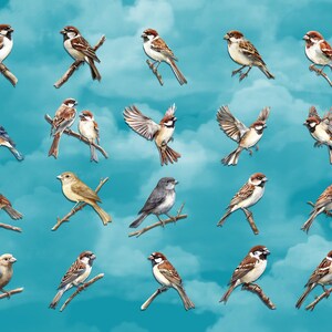 Sparrow Clip Art Watercolor Bird Printable PNG Paper Craft Sparrow Bird ...