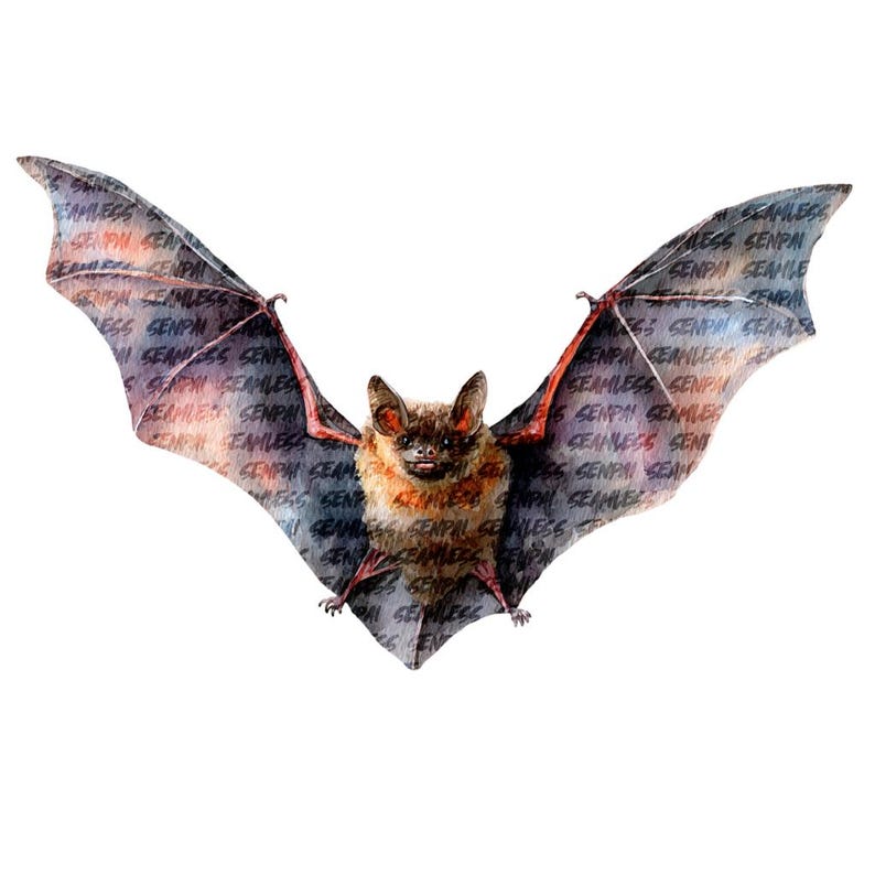 Vampire Bat Clipart Dracula Animal Form Watercolor Paper Craft PNG ...
