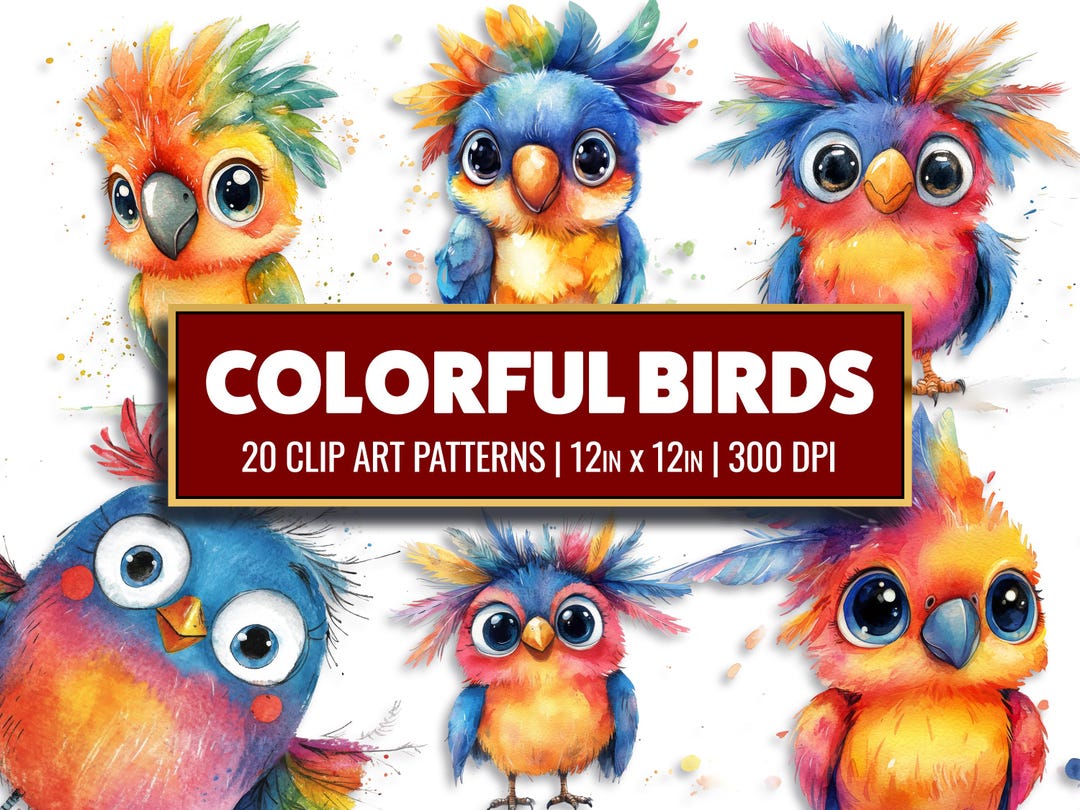 Whimsical Birds Clip Art Colorful Birds Digital Paper Watercolor Bird ...