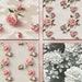 Floral Pink Digital Paper Pack Rose Seamless Pattern White Flower ...