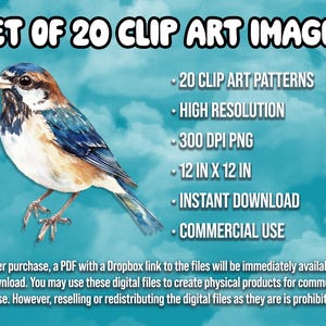 Sparrow Clip Art Watercolor Bird Printable PNG Paper Craft Sparrow Bird ...