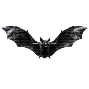 Vampire Bat Clipart Dracula Animal Form Watercolor Paper Craft PNG ...