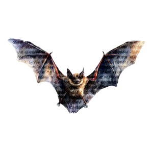 Vampire Bat Clipart Dracula Animal Form Watercolor Paper Craft PNG ...