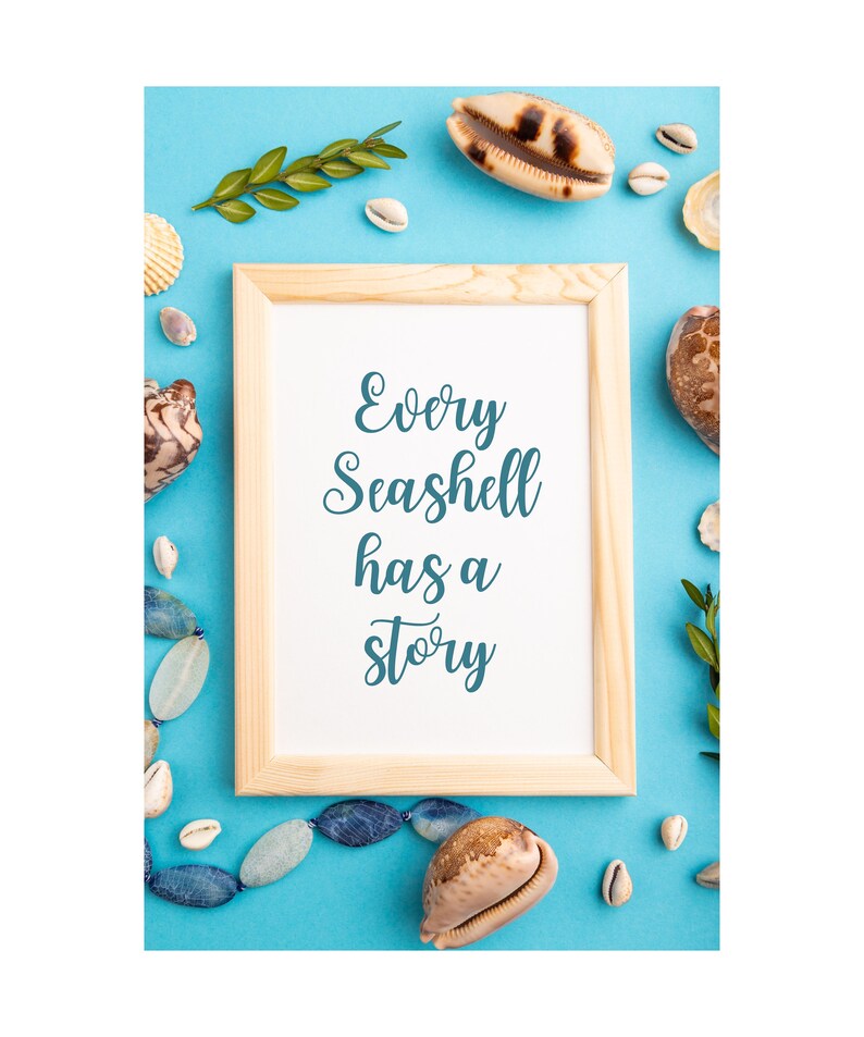 Every Seashell Has a Story SVG - Etsy