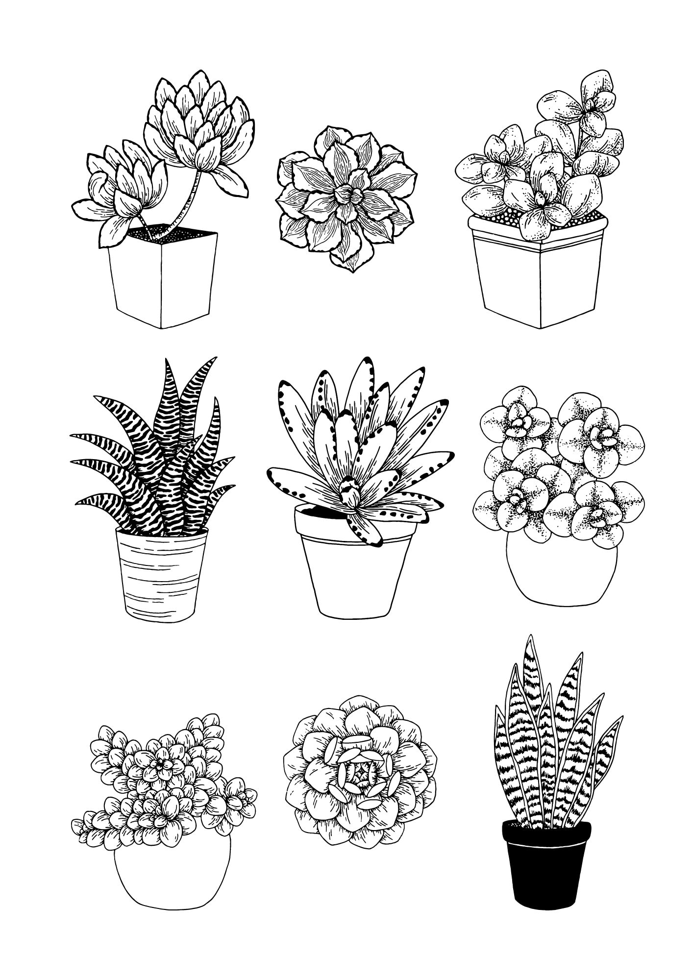 Succulent Coloring Page, Color and Cut, Plant Coloring Page, Coloring ...