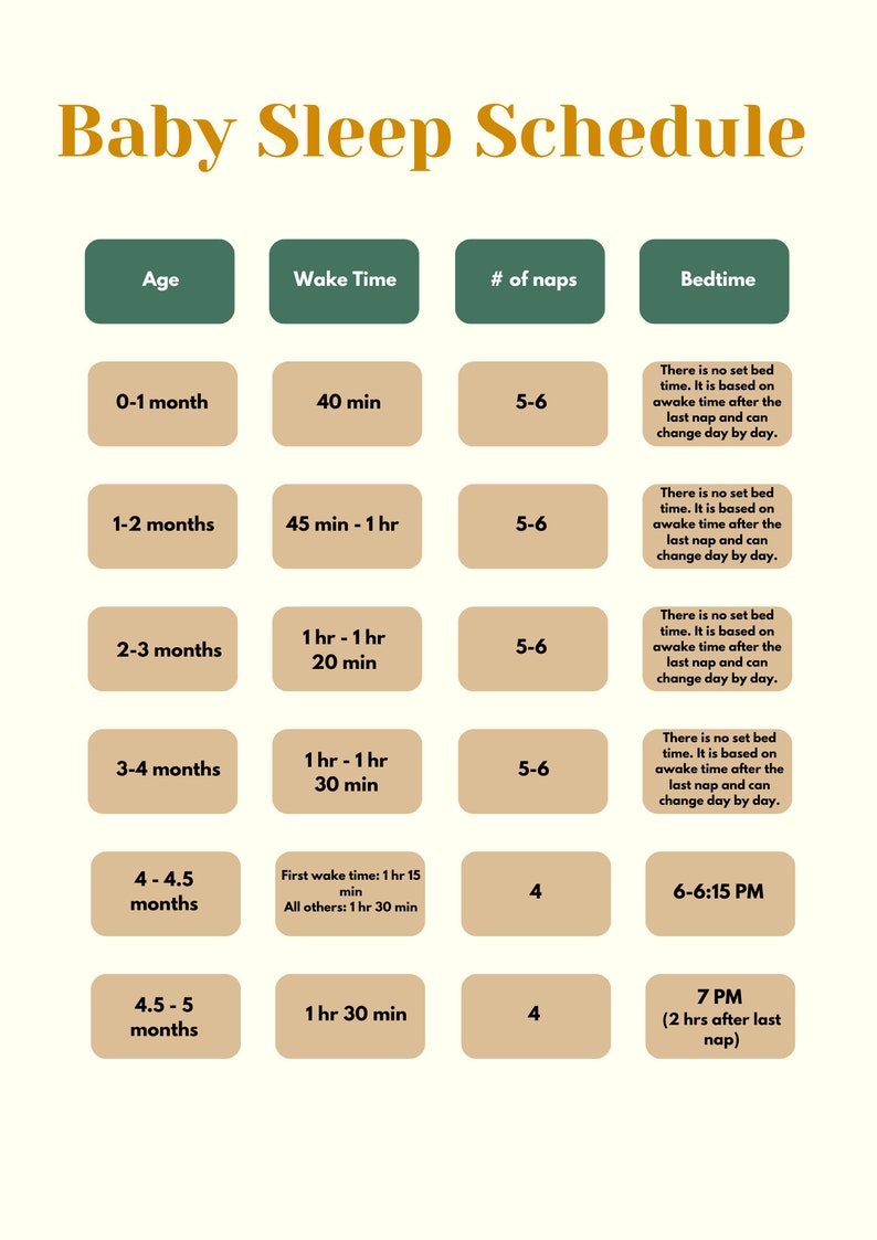 Baby Sleep Schedule The First Year Etsy
