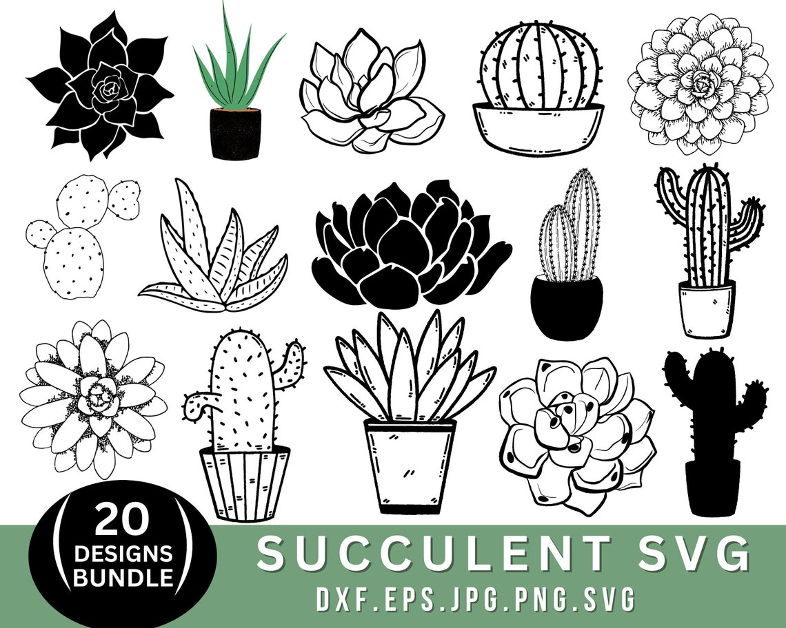 Succulent Svg Bundle, Cactus Svg Shirt, Plant Svg, Svg Files for Cricut ...