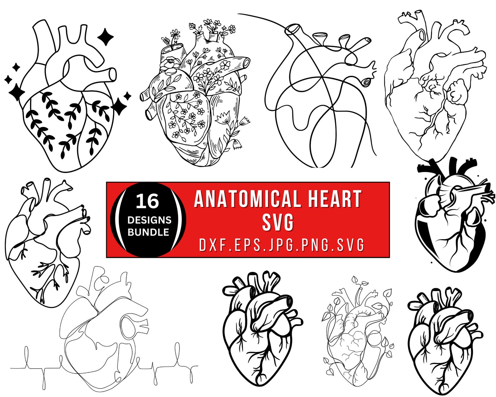 Anatomical Heart Svg / Png, Heart Svg Bundle, Human Heart Svg Jpg ...