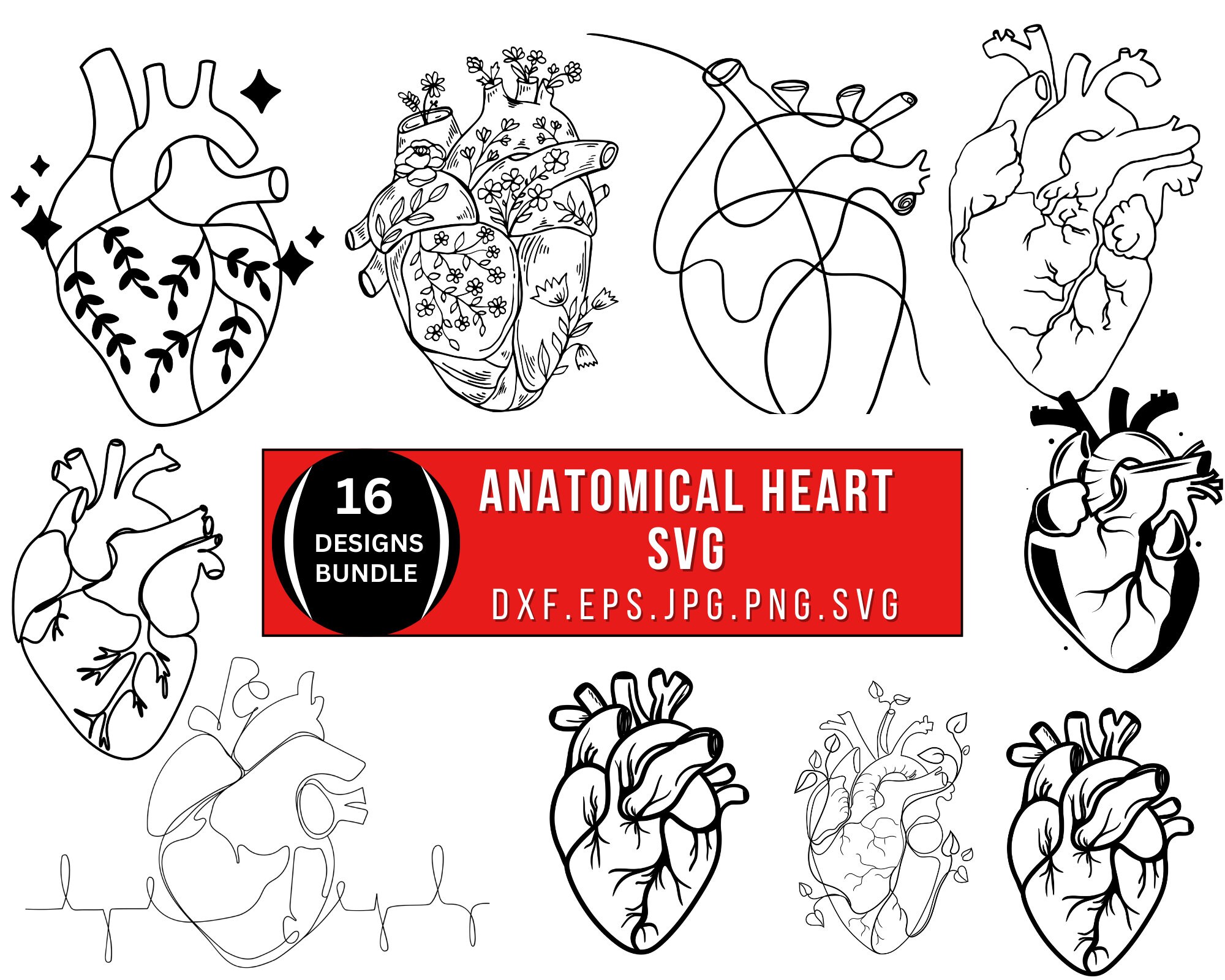 Anatomical Heart Svg / Png, Heart Svg Bundle, Human Heart Svg Jpg ...