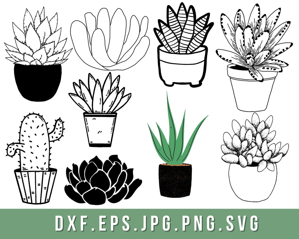 Succulent Svg Bundle, Cactus Svg Shirt, Plant Svg, Svg Files for Cricut ...