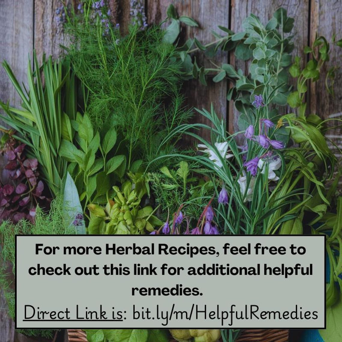 Natural Remedy for Gall Stones - Etsy