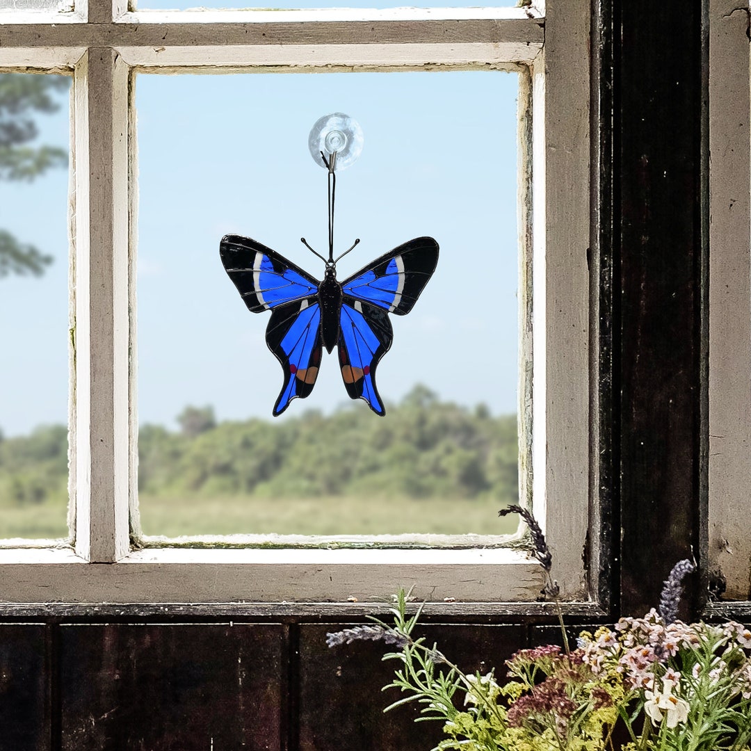 Rhetus Periander Butterfly Suncatcher, Stained Glass Window Hangings ...