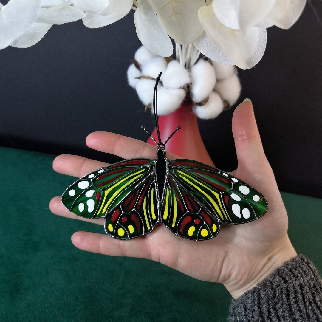 Campylotes Histrionicus Butterfly Suncatcher, Stained Glass Window ...
