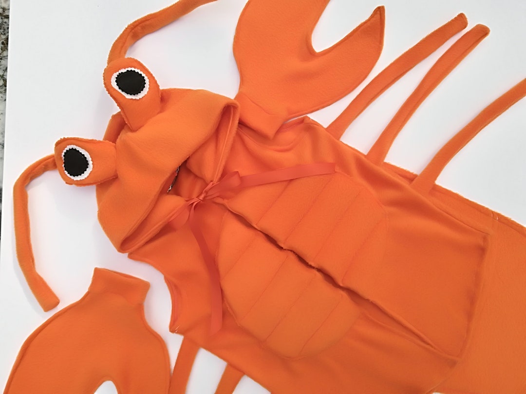 Kids Halloween Costume, Crab Costume for Toddler Boys or Girls - Etsy