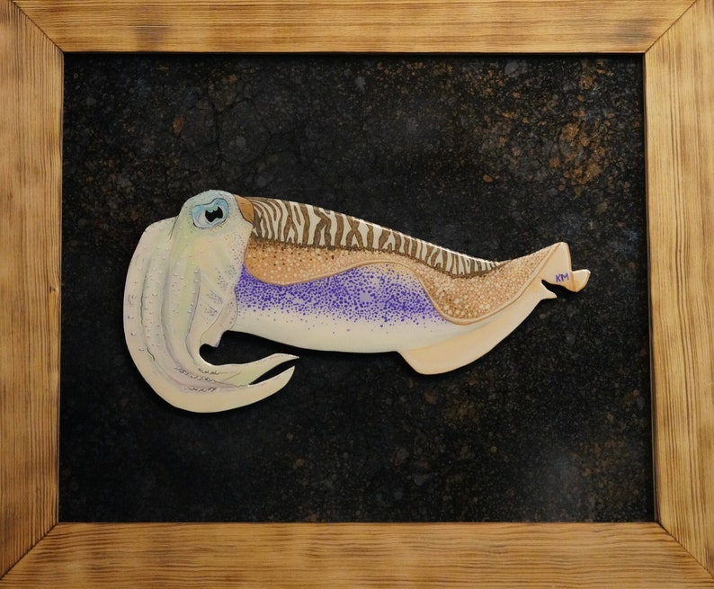 Cuttlefish Wall Decor - Fish Wall Art - Fish Wall Decor - Etsy