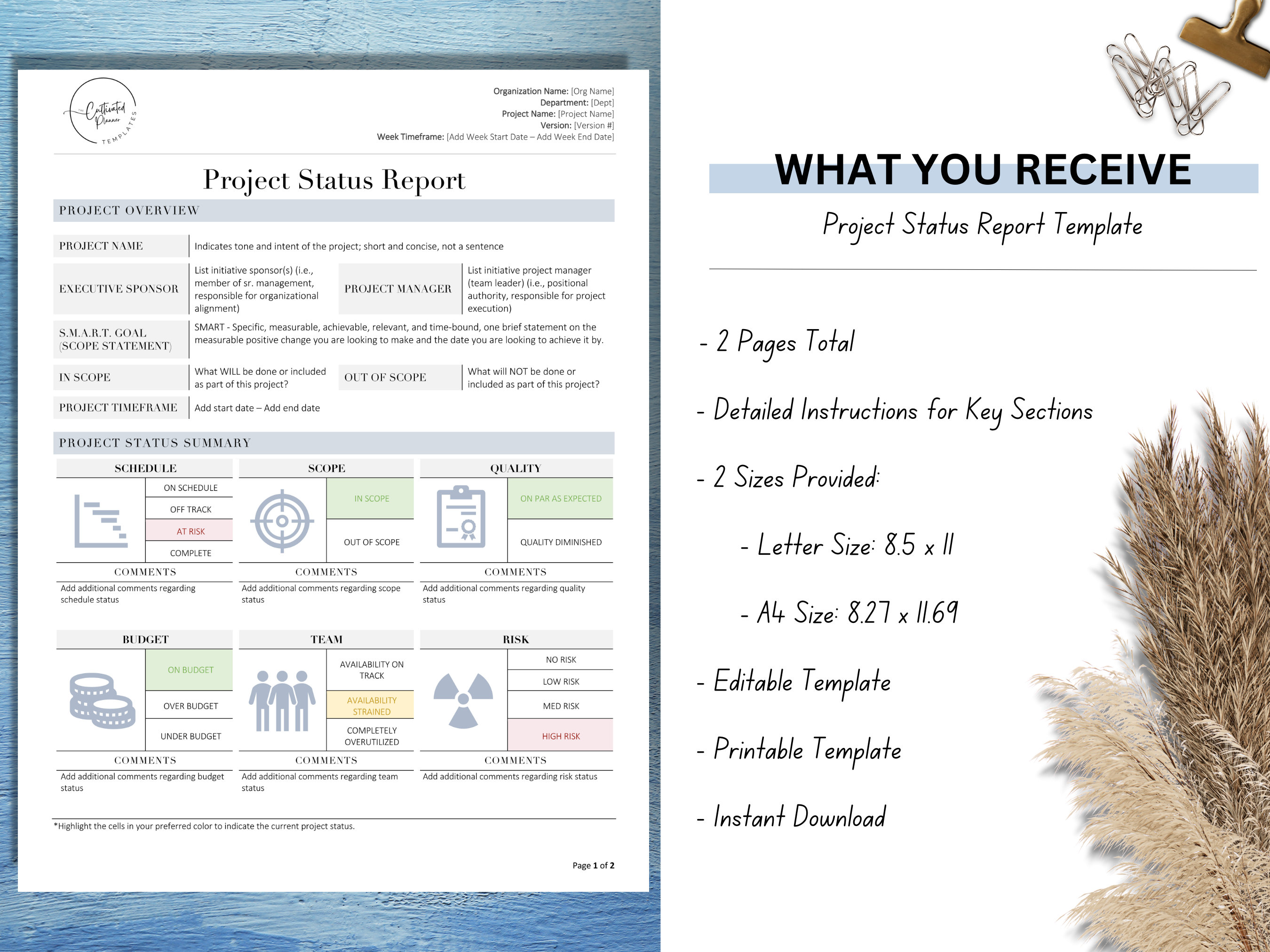 Project Status Report Template | Project Progress Report | Project Summary | Project Document ...