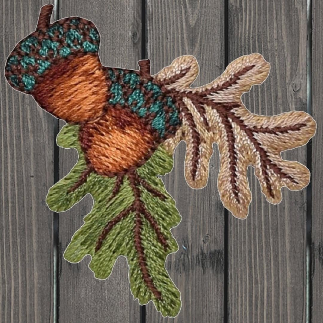 Acorn Embroidered Patch — Iron On - Etsy