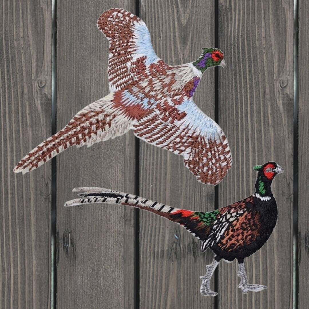 Ring-necked Pheasant Embroidered Patch — 2-pack — Iron On - Etsy
