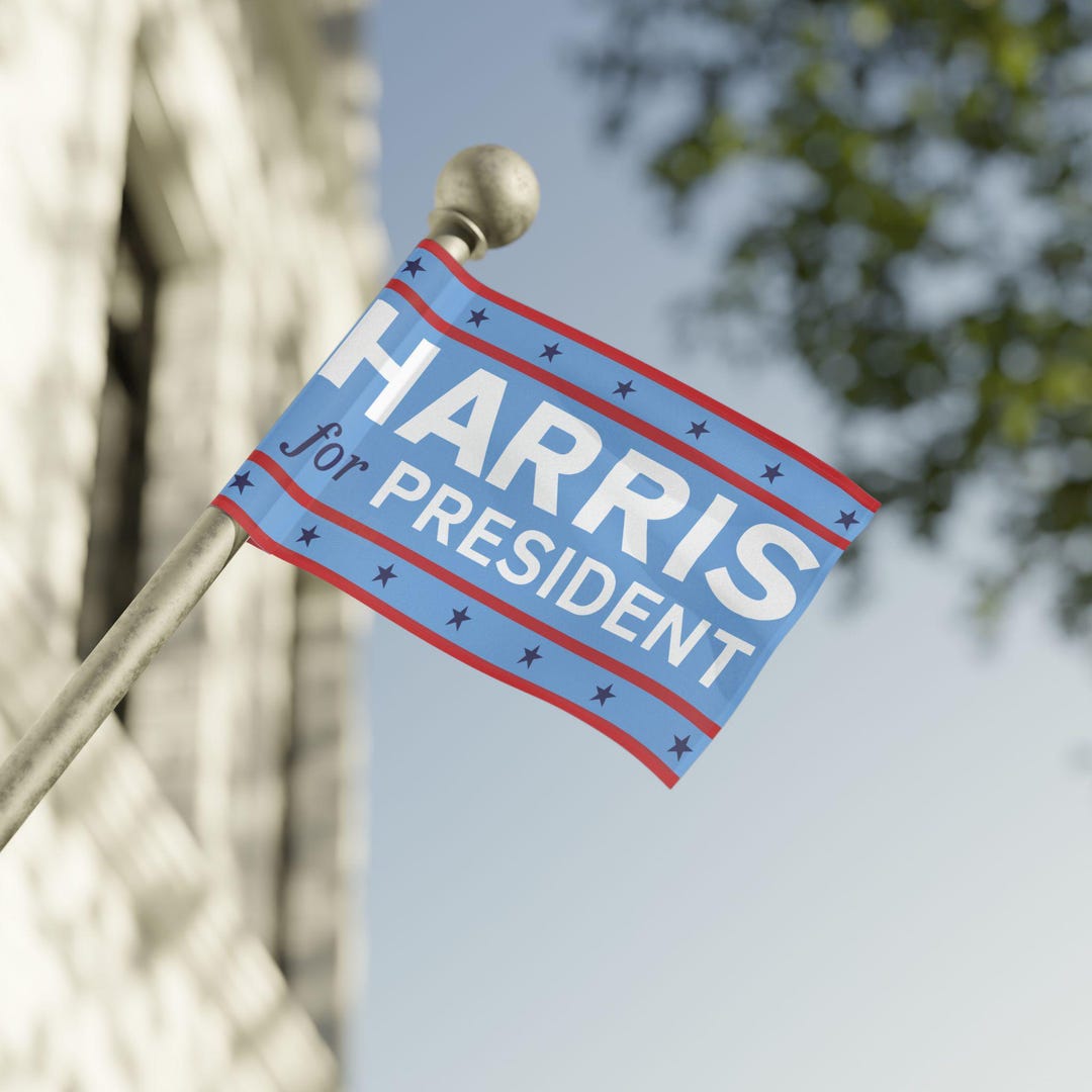 Kamala Harris Flag 2024 Election, Harris for President Flag for Pole ...