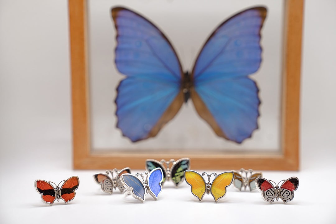 Handmade Medium Real Butterfly Wing Ring | Gift for Her | 950 Sterling ...