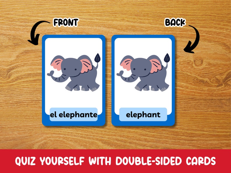Printable Spanish and English Animal Flash Card, Bilingual Animal ...