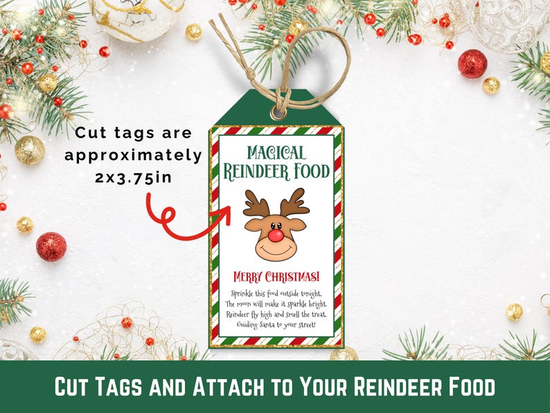 Magic Reindeer Food Treat Bag Topper Printable (PDF Download) - Etsy