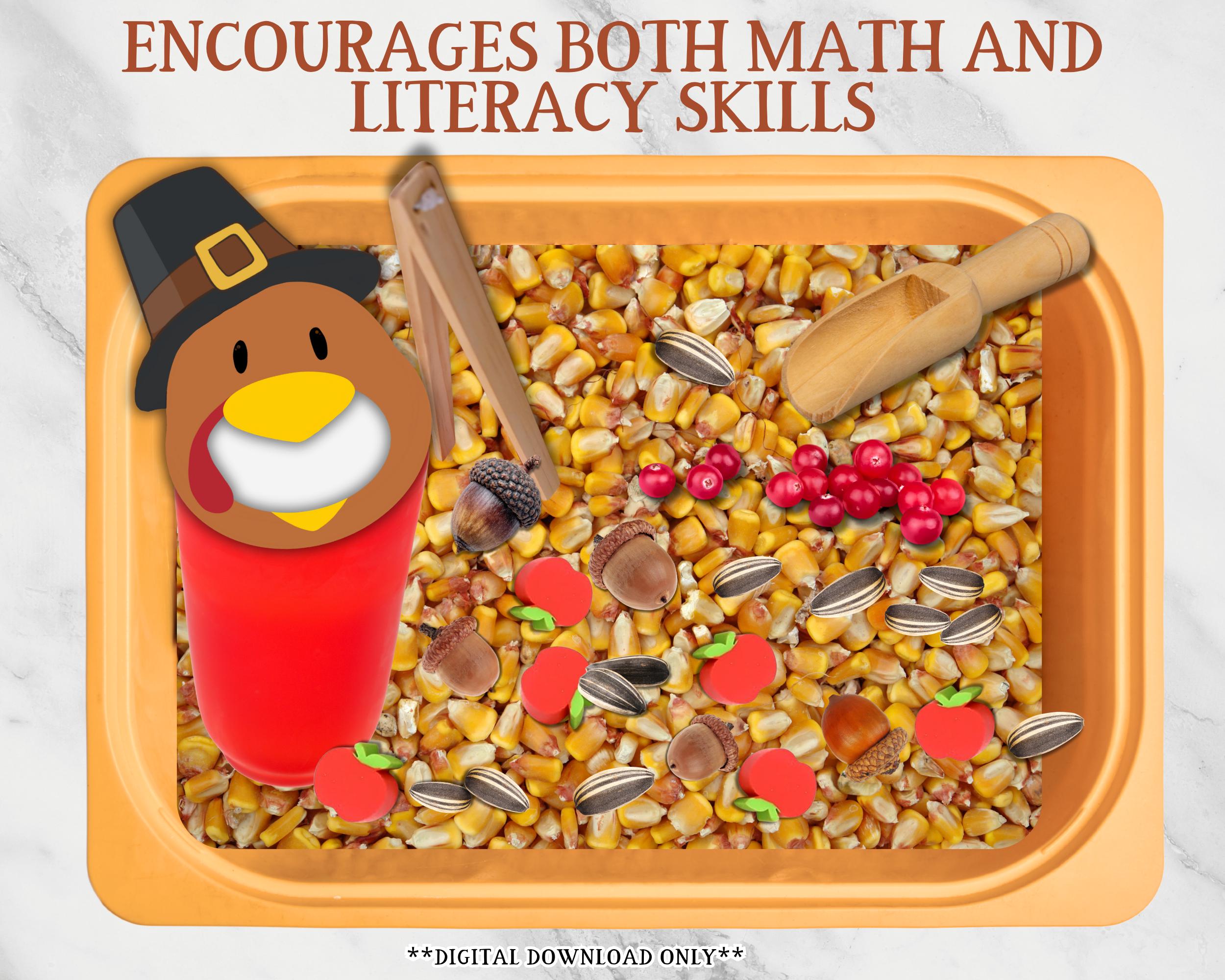 Feed the Turkey Sensory Bin Task Cards, Occupational Therapy Fine Motor ...