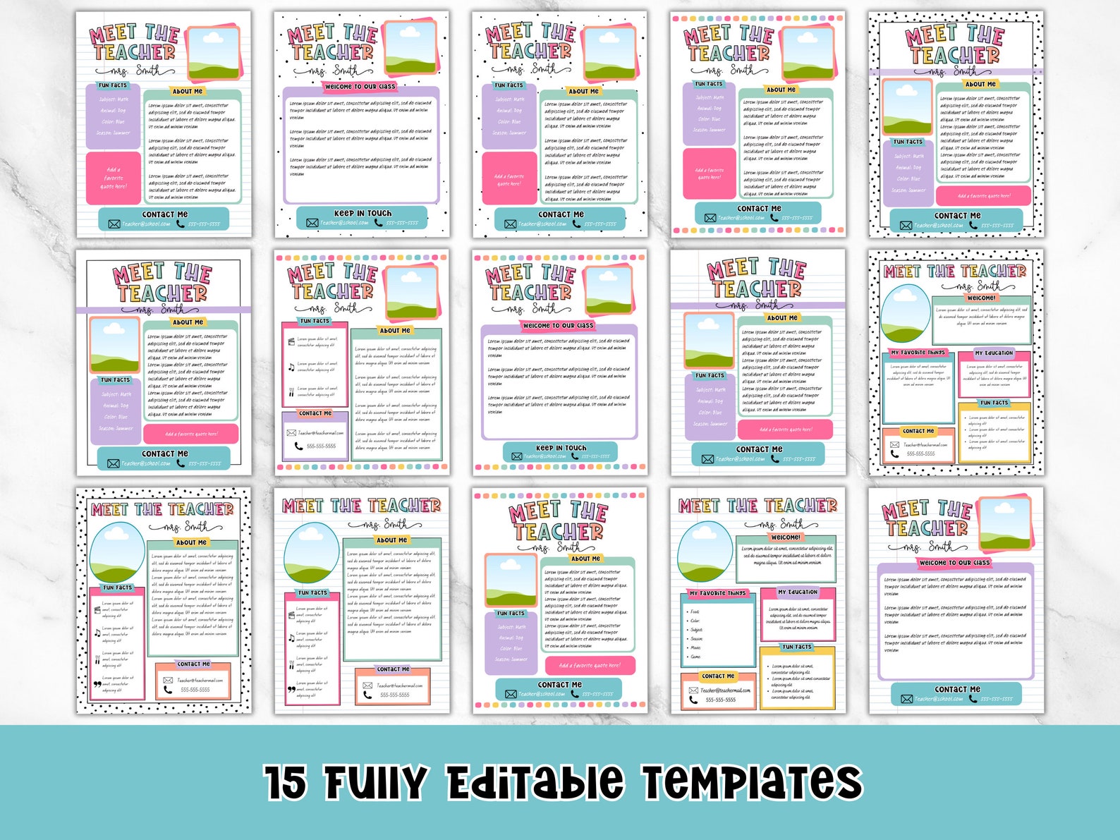 Editable Meet the Teacher Template: Back to School Flyer (digital ...