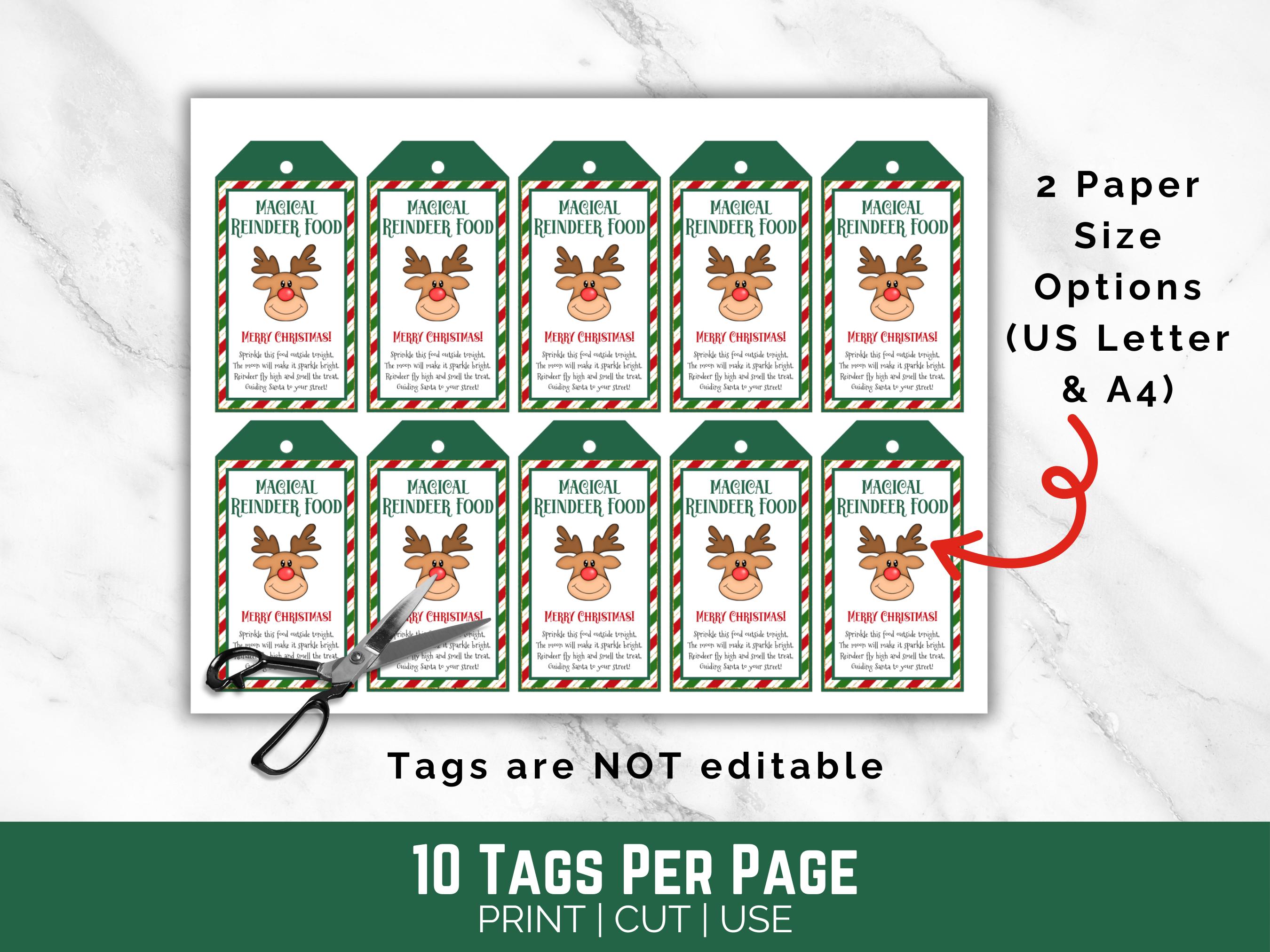 Magic Reindeer Food Treat Bag Topper Printable (PDF Download) - Etsy