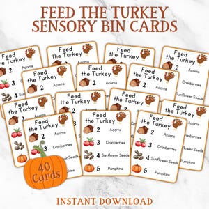 Feed the Turkey Sensory Bin Task Cards, Occupational Therapy Fine Motor ...