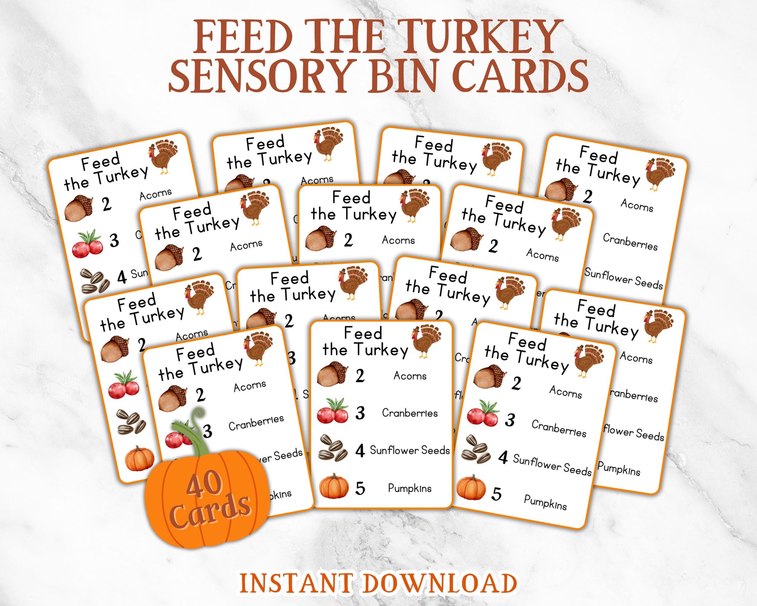 Feed the Turkey Sensory Bin Task Cards, Occupational Therapy Fine Motor ...