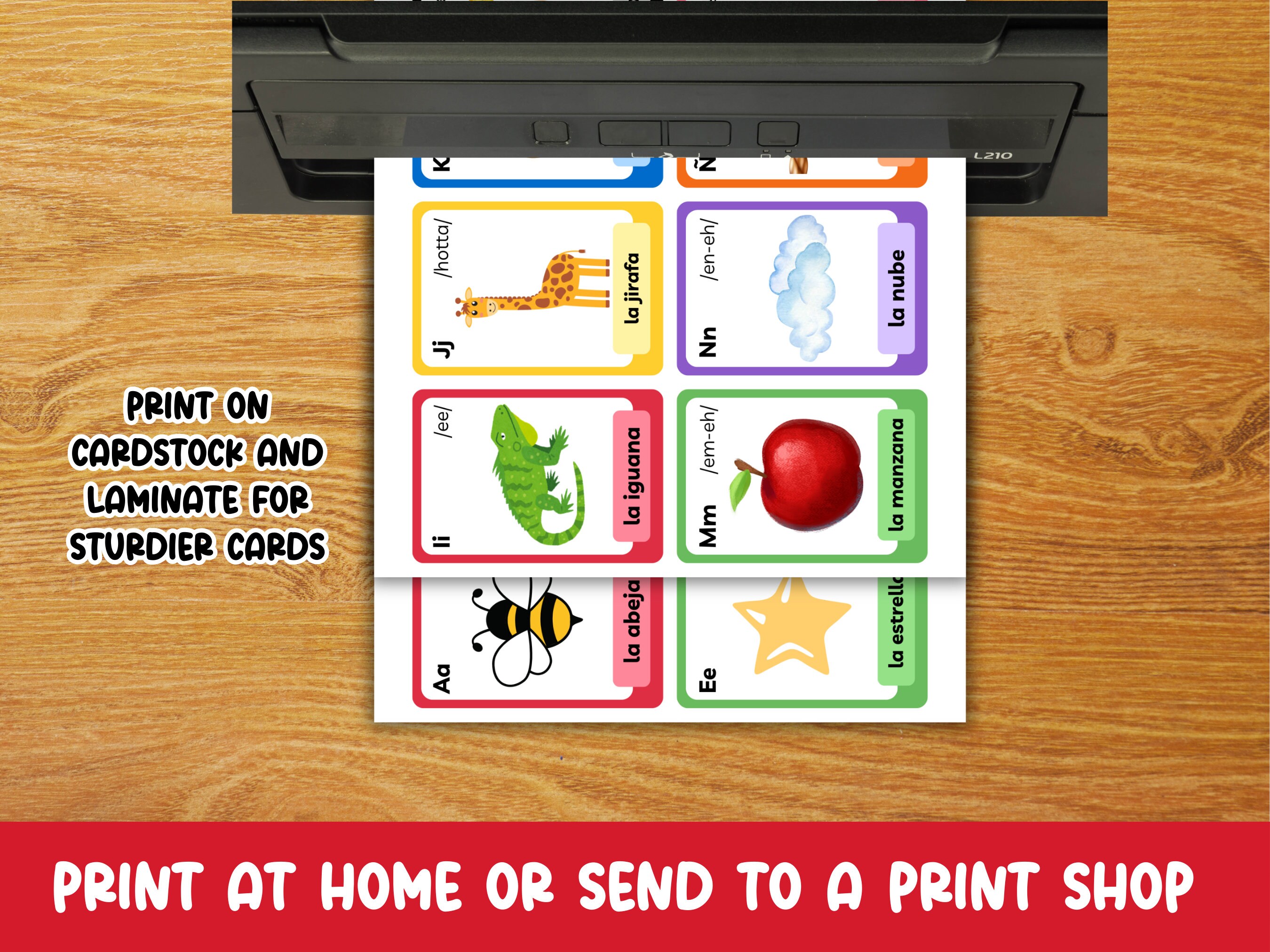 Spanish Alphabet Flashcards for Kids, Bilingual Spanish Alphabet ...