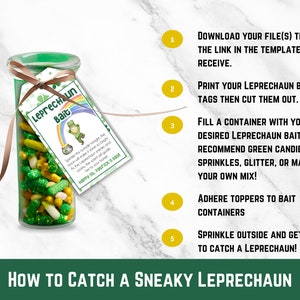 Leprechaun Bait, St. Patrick’s Day Printable Tag, Leprechaun Loot Bag ...