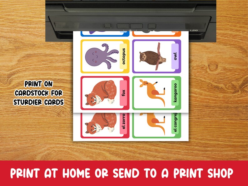 Printable Spanish and English Animal Flash Card, Bilingual Animal ...