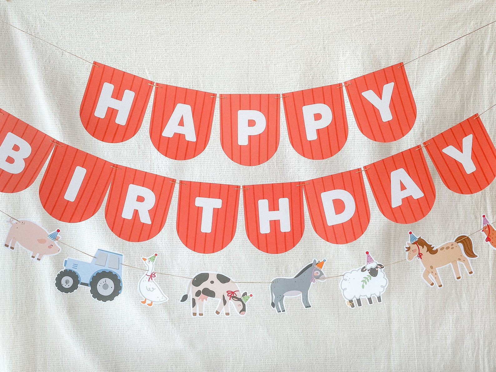 Farm Birthday Decoration Set, Kids Farmyard Party Bundle, DIY Surprise ...